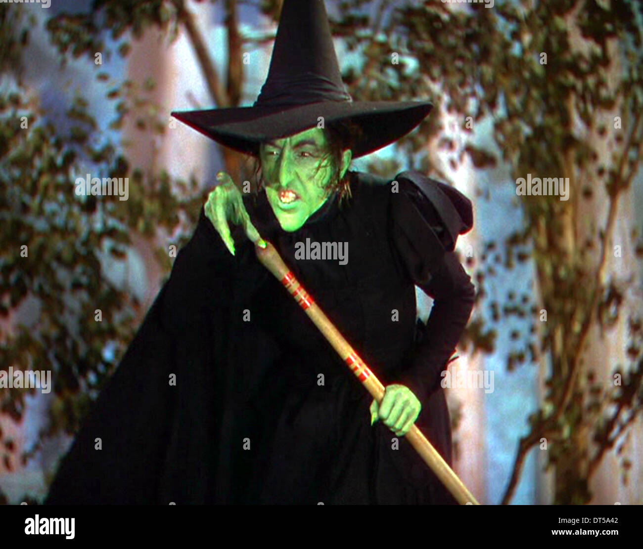 Margaret Hamilton Stock Photos & Margaret Hamilton Stock Images - Alamy