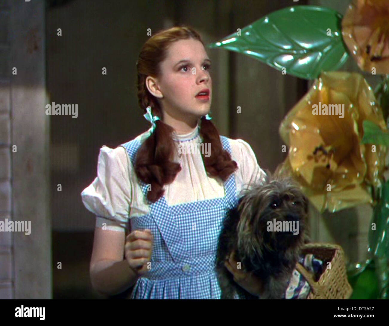 JUDY GARLAND THE WIZARD OF OZ (1939 Stock Photo - Alamy