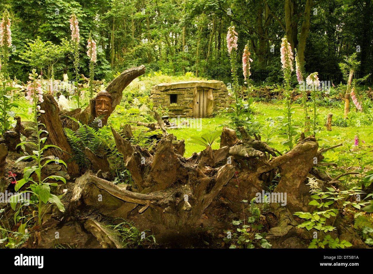 Stumpery hi-res stock photography and images - Alamy