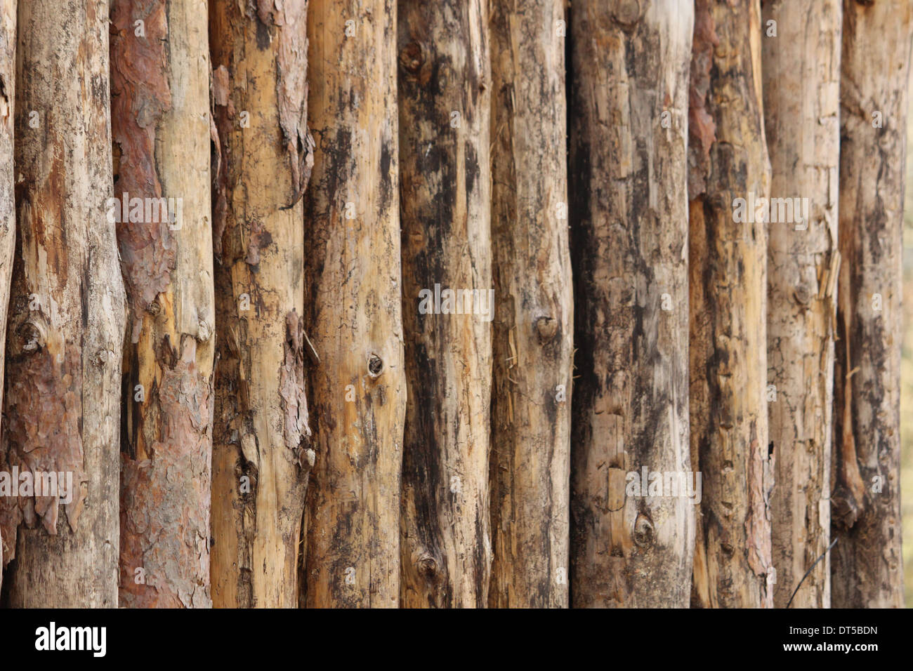 Vertical Wood- Horizontal Photograph Stock Photo - Alamy