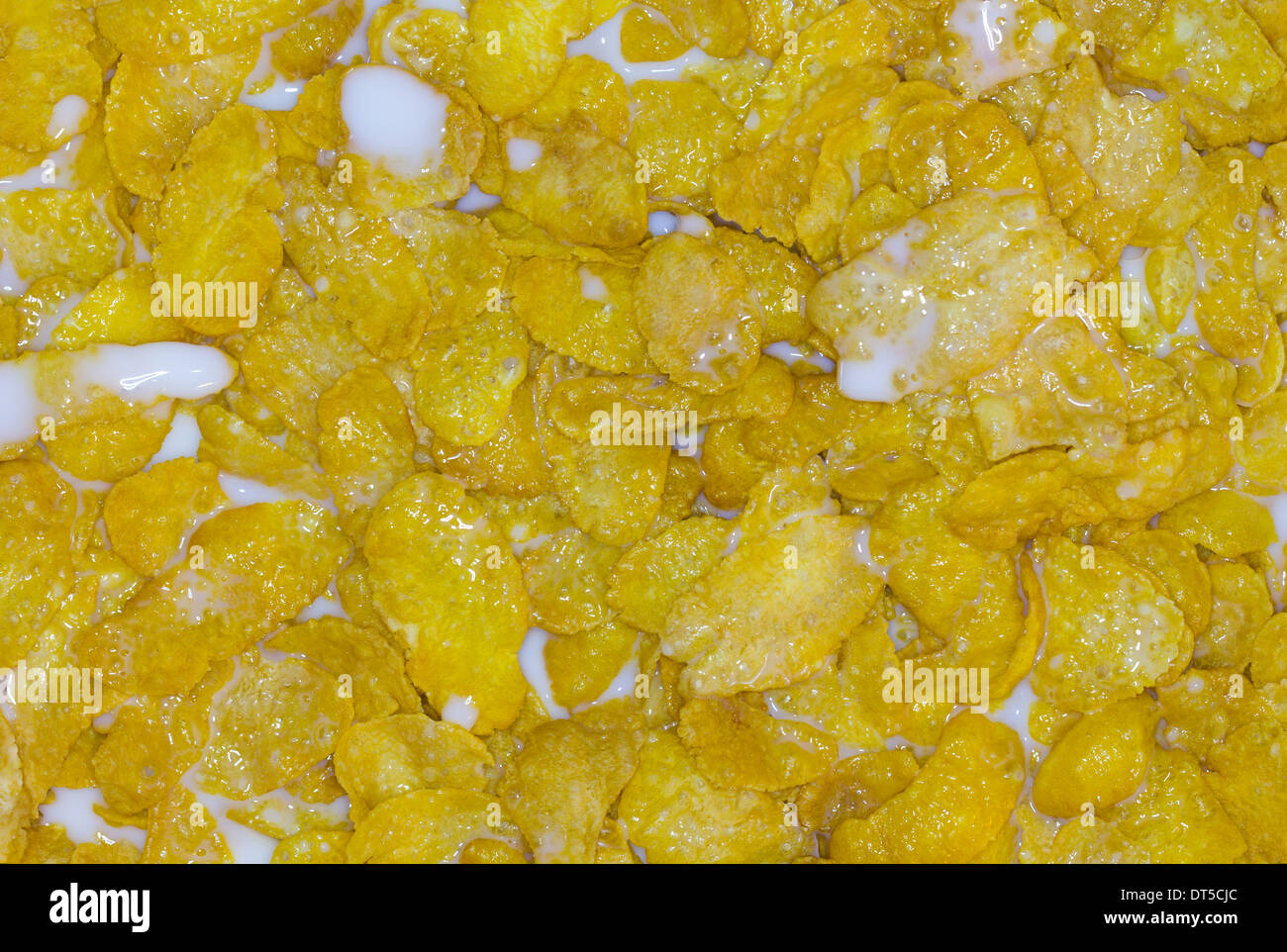 Corn flakes milk in hi-res stock photography and images - Alamy