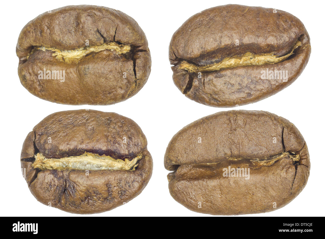 Macro image of four different coffee beans Stock Photo - Alamy