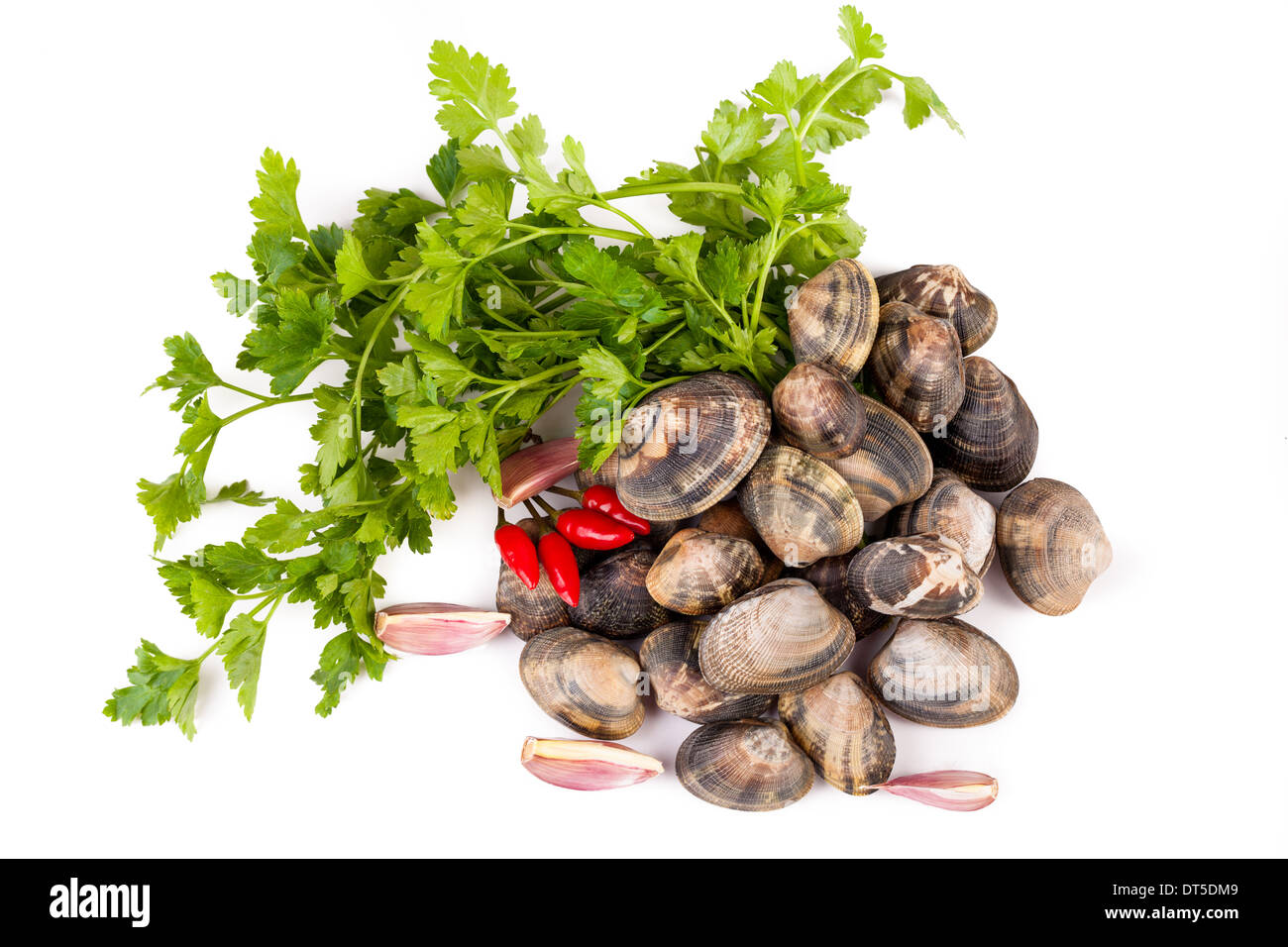 Clam shellfish Cut Out Stock Images & Pictures - Alamy