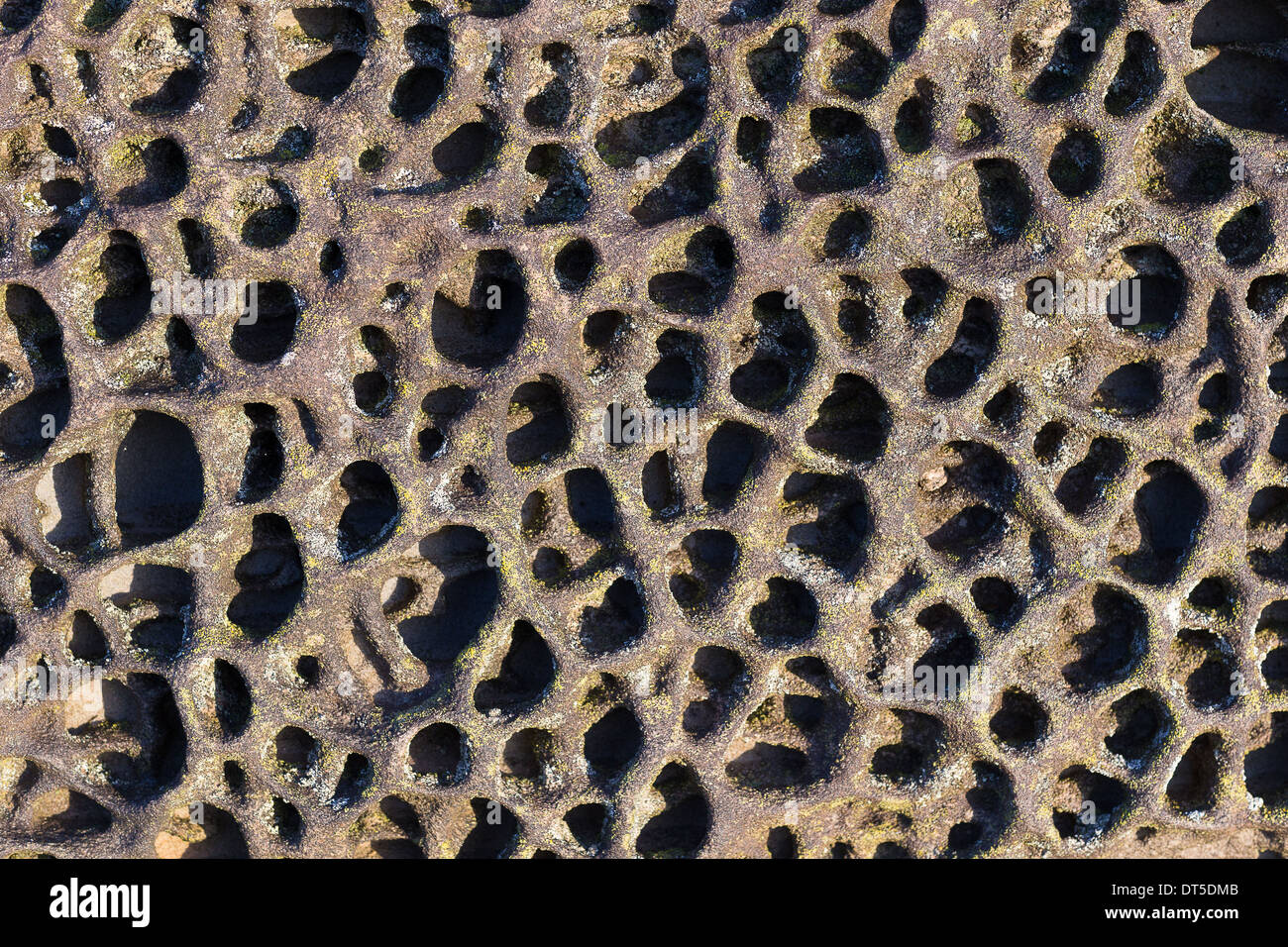 Sandstone erosion patterns in the harbour wall at Watchet Stock Photo ...