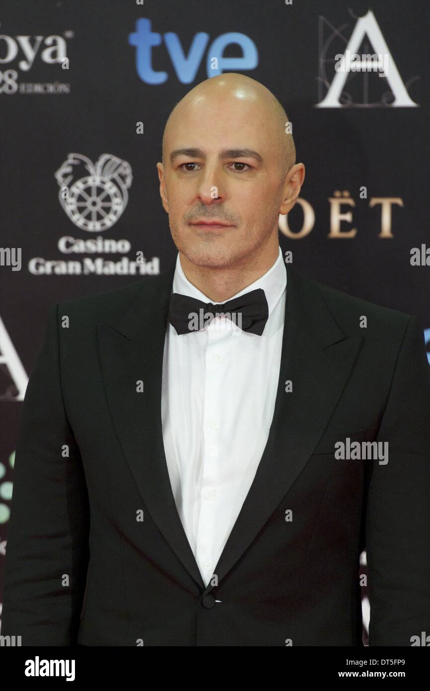 Madrid, Spain. 9th Feb, 2014. Roberto Alamo attends Goya Cinema Awards ...