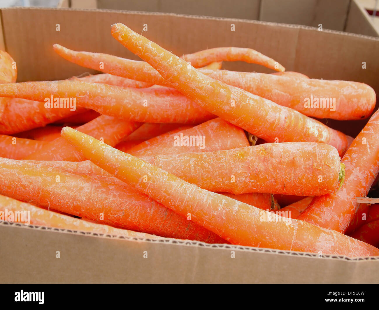 A box of fresh, organic carrots for sale at local farmers market Stock ...