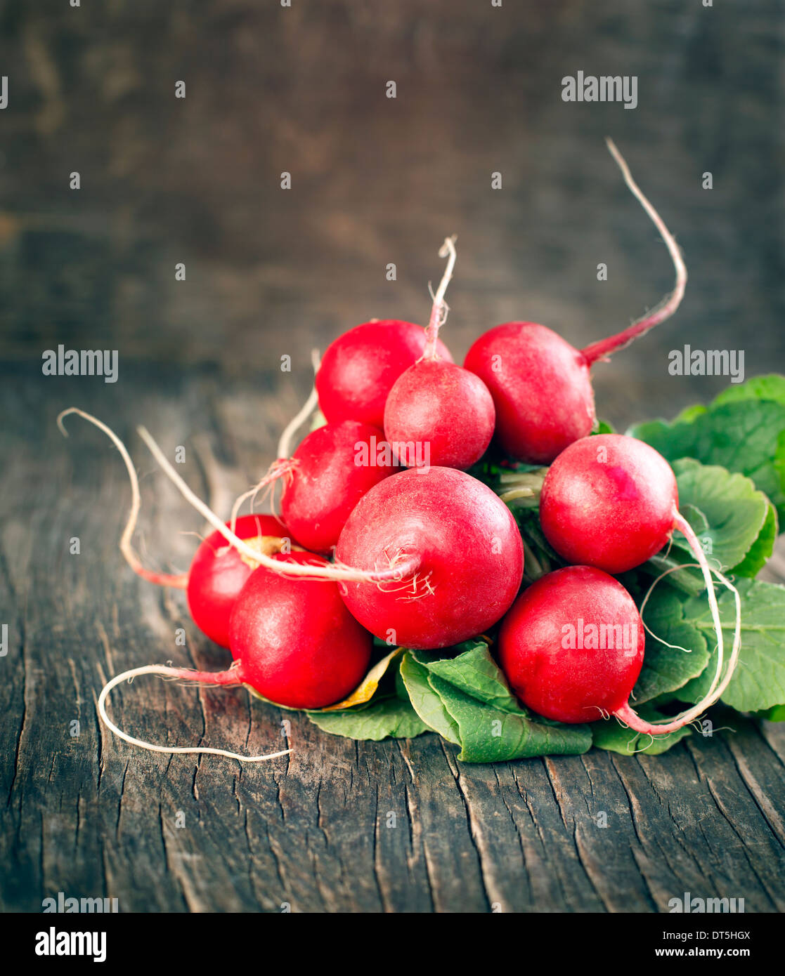 Bunch of fresh radish Stock Photo - Alamy