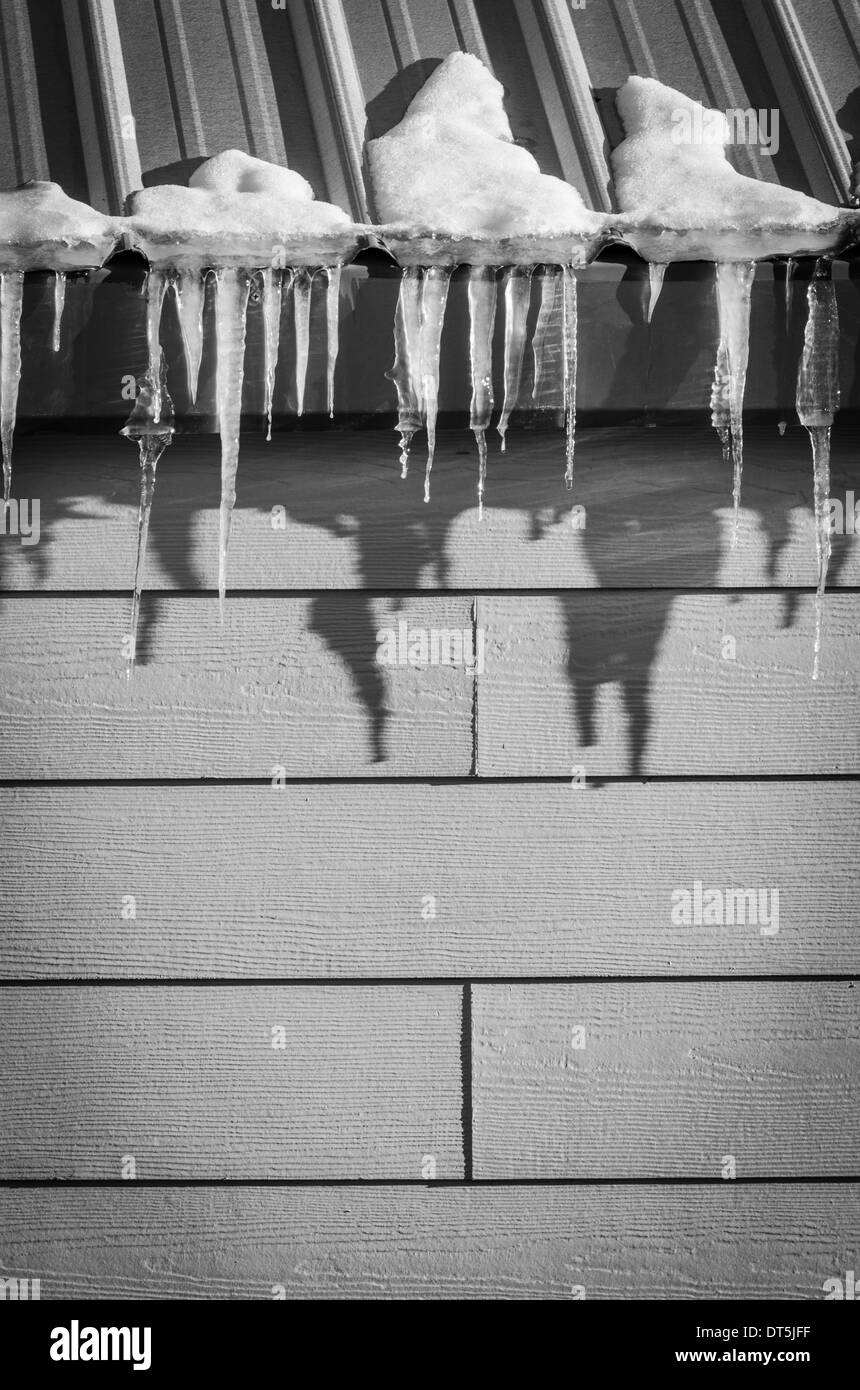 Icicles on cold winter Black and White Stock Photos & Images - Alamy