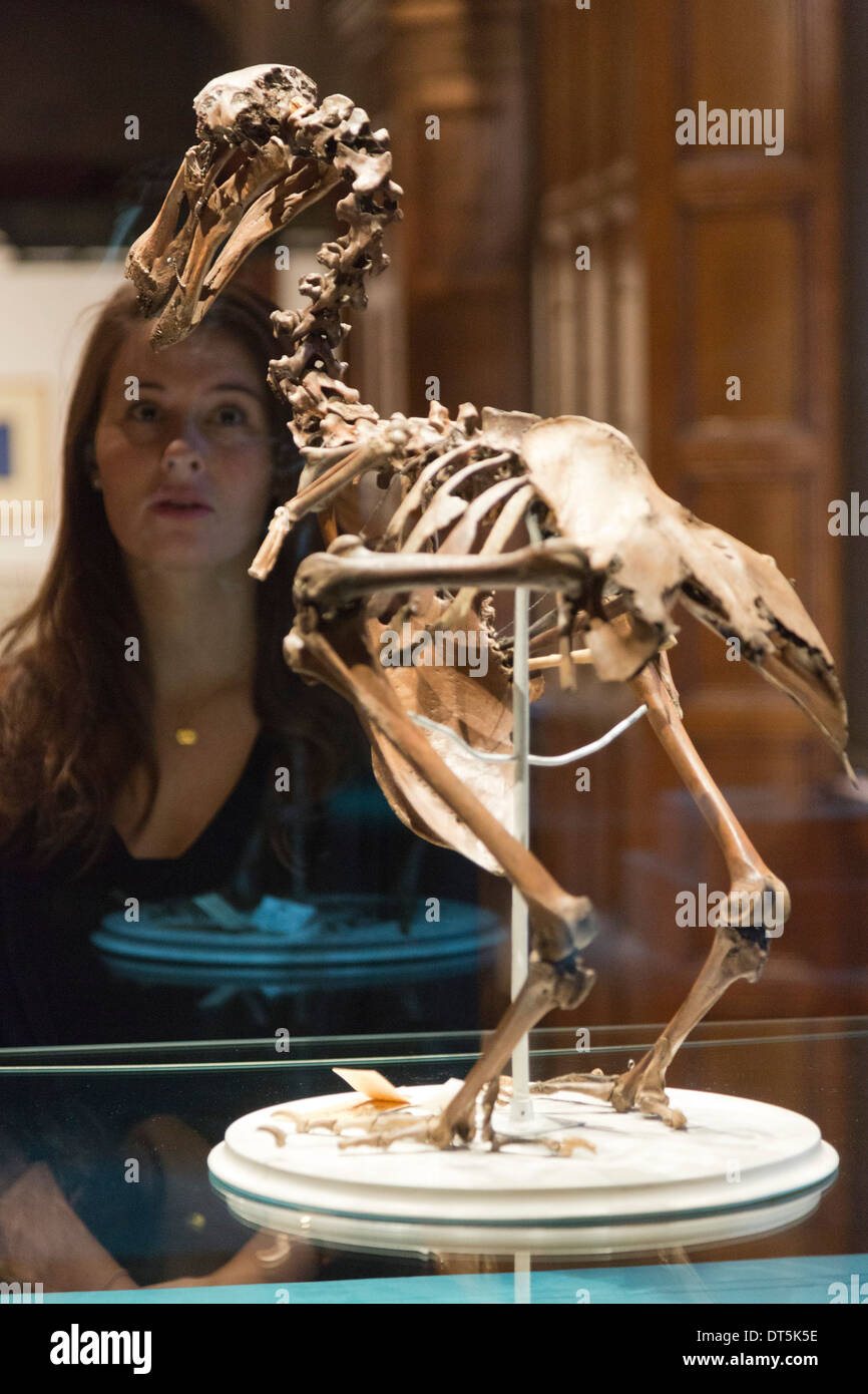 Exhibition "Discoveries - Art, Science & Exploration" from the ...