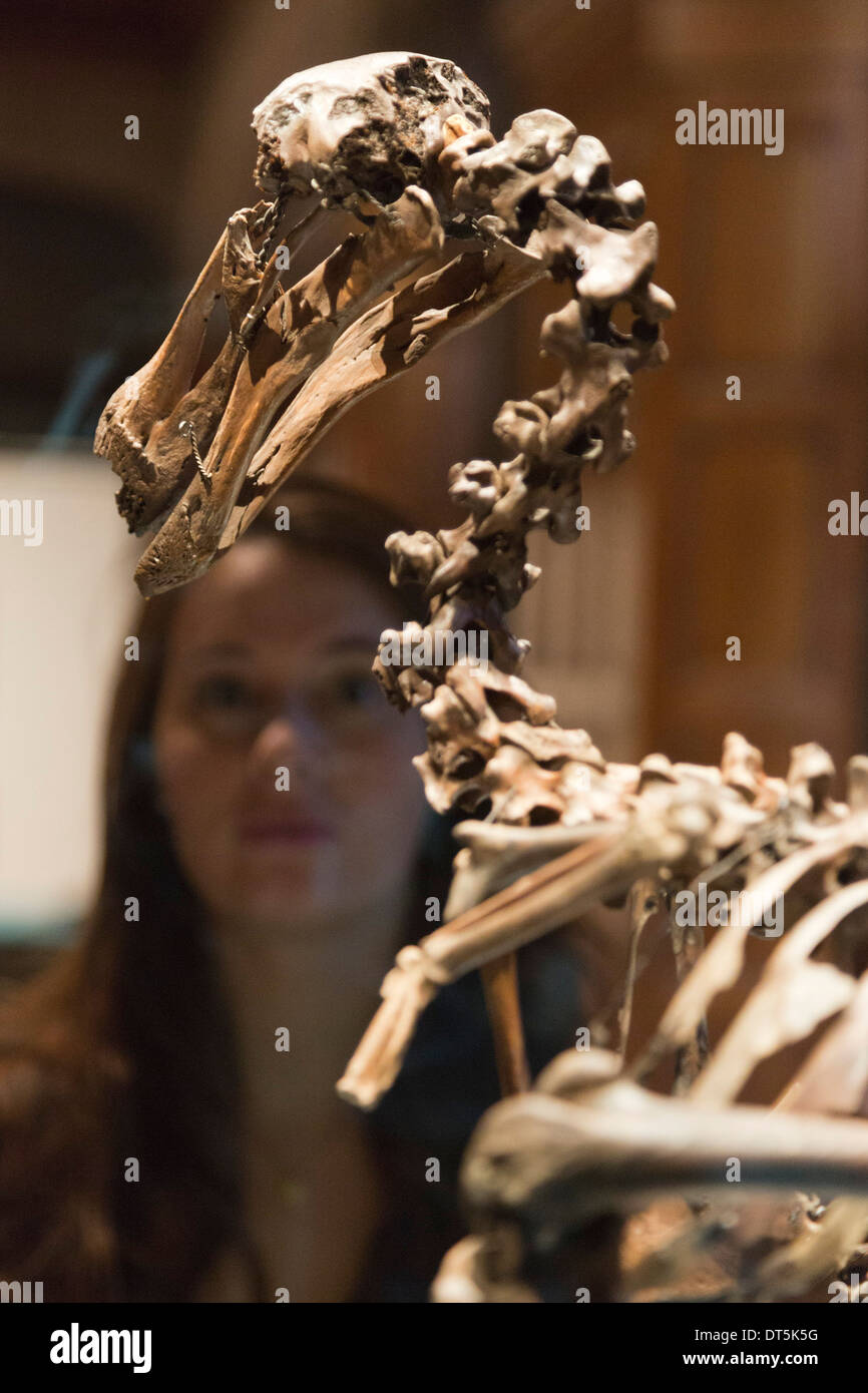 Exhibition "Discoveries - Art, Science & Exploration" from the ...