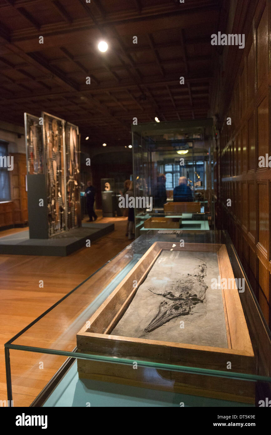 Exhibition "Discoveries - Art, Science & Exploration" from the ...