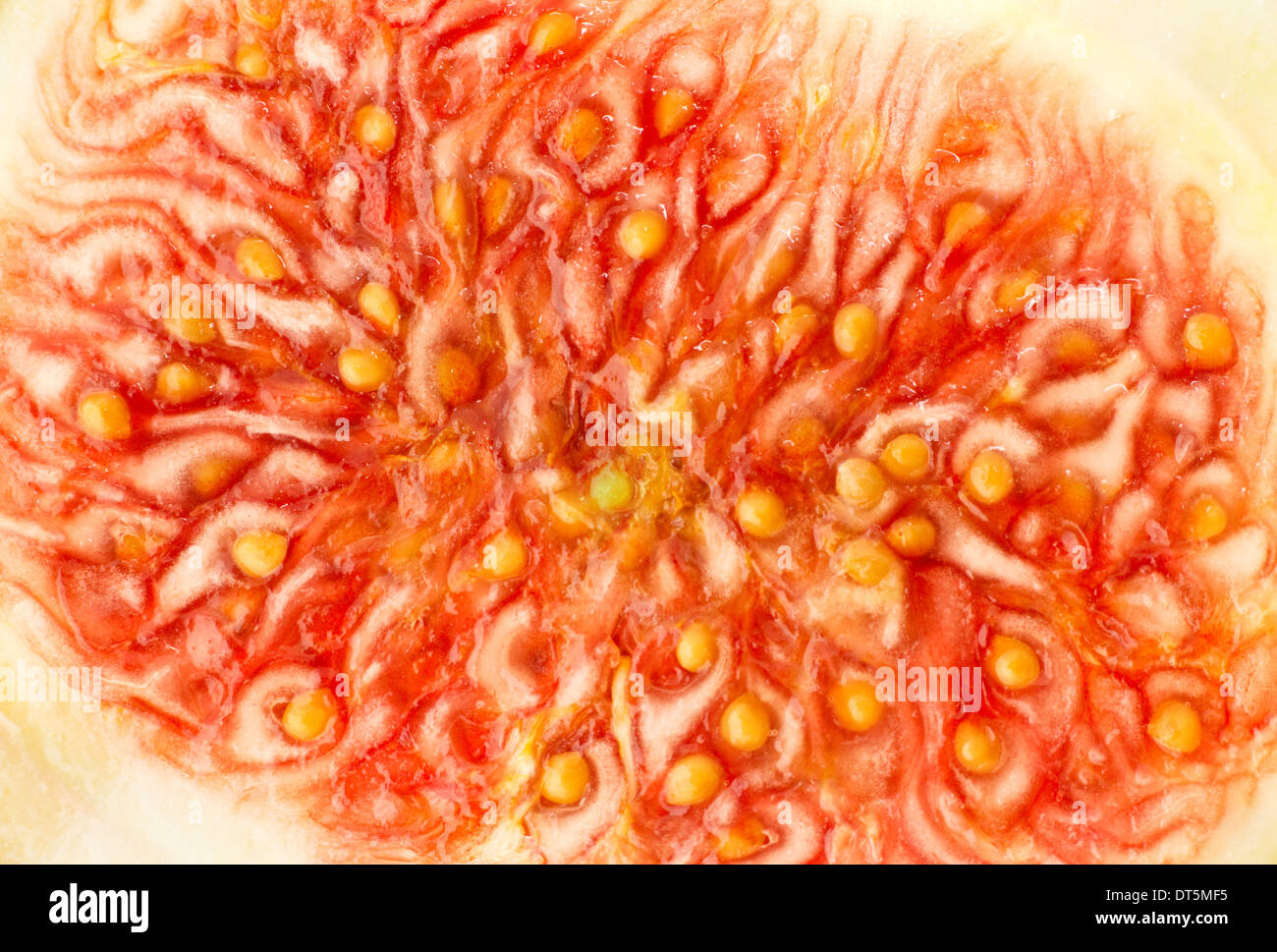 Seed pulp hi-res stock photography and images - Alamy