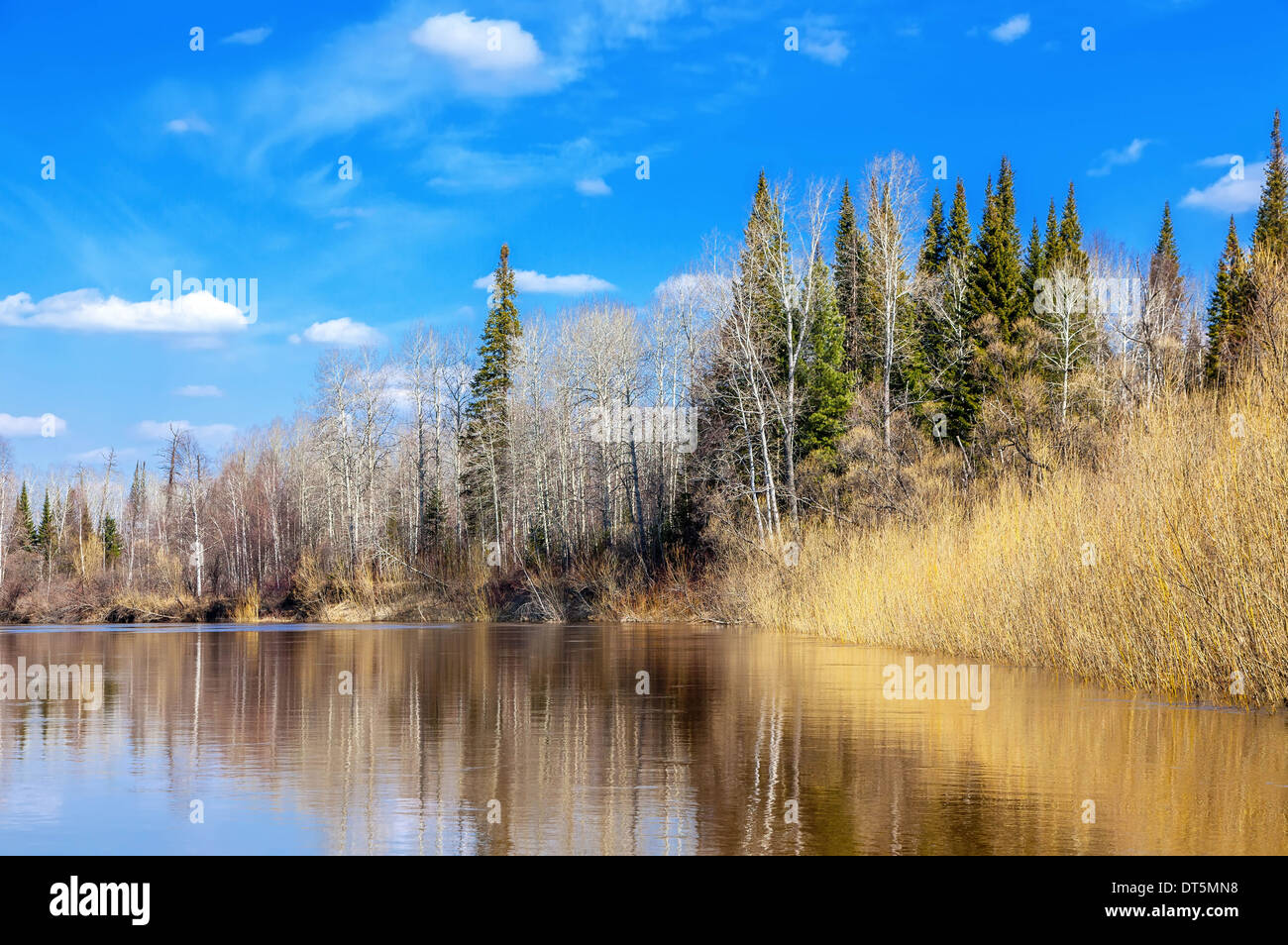 Spring flood river Stock Photo - Alamy