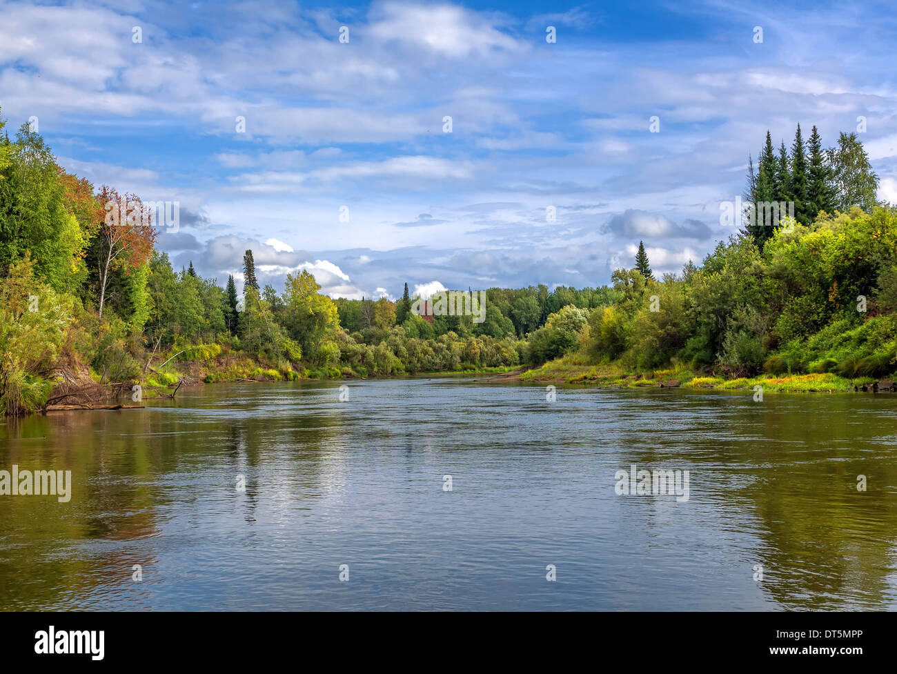Siberian landscape with wilderness Stock Photo - Alamy