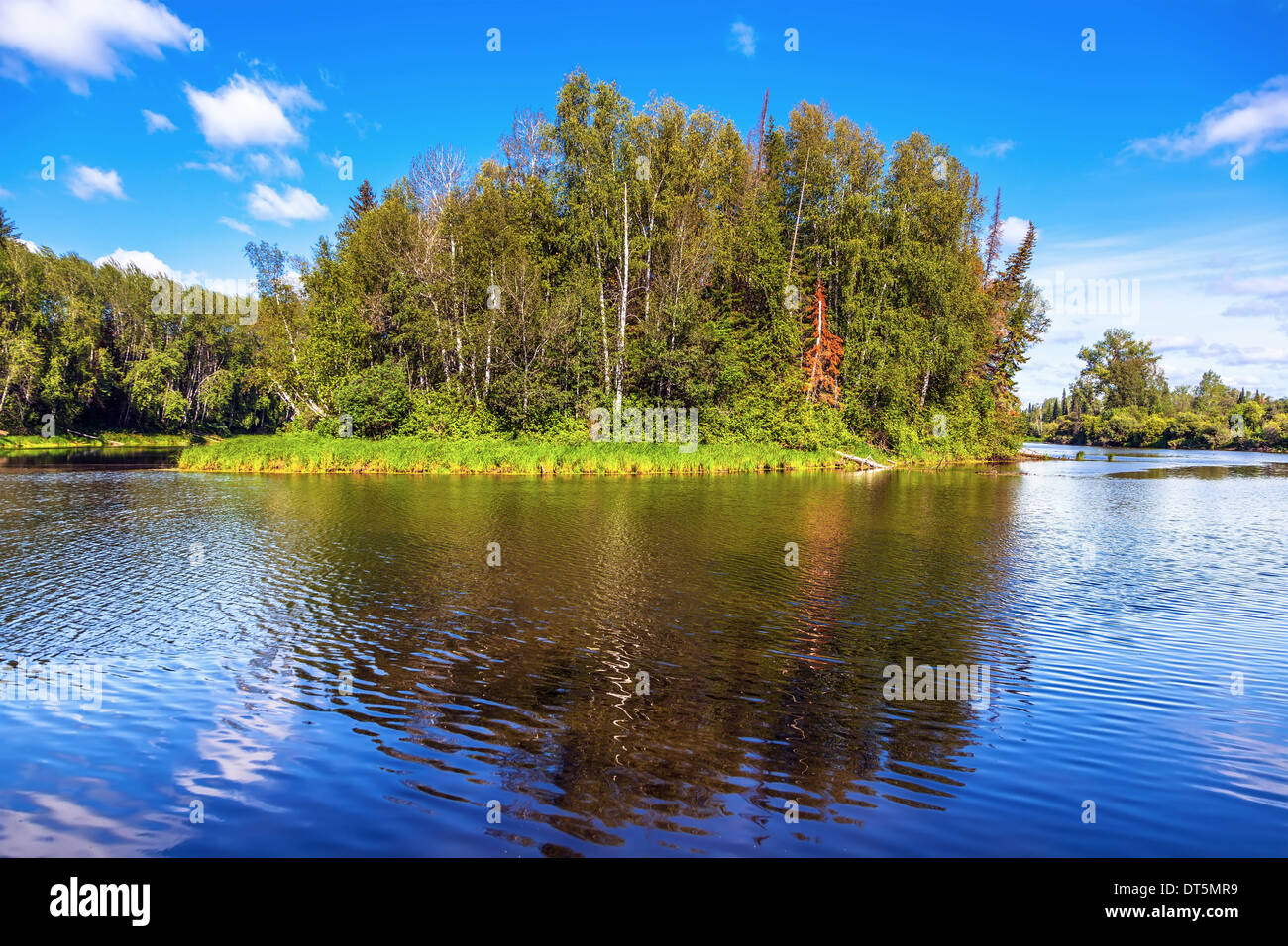 Siberia forest hi-res stock photography and images - Alamy