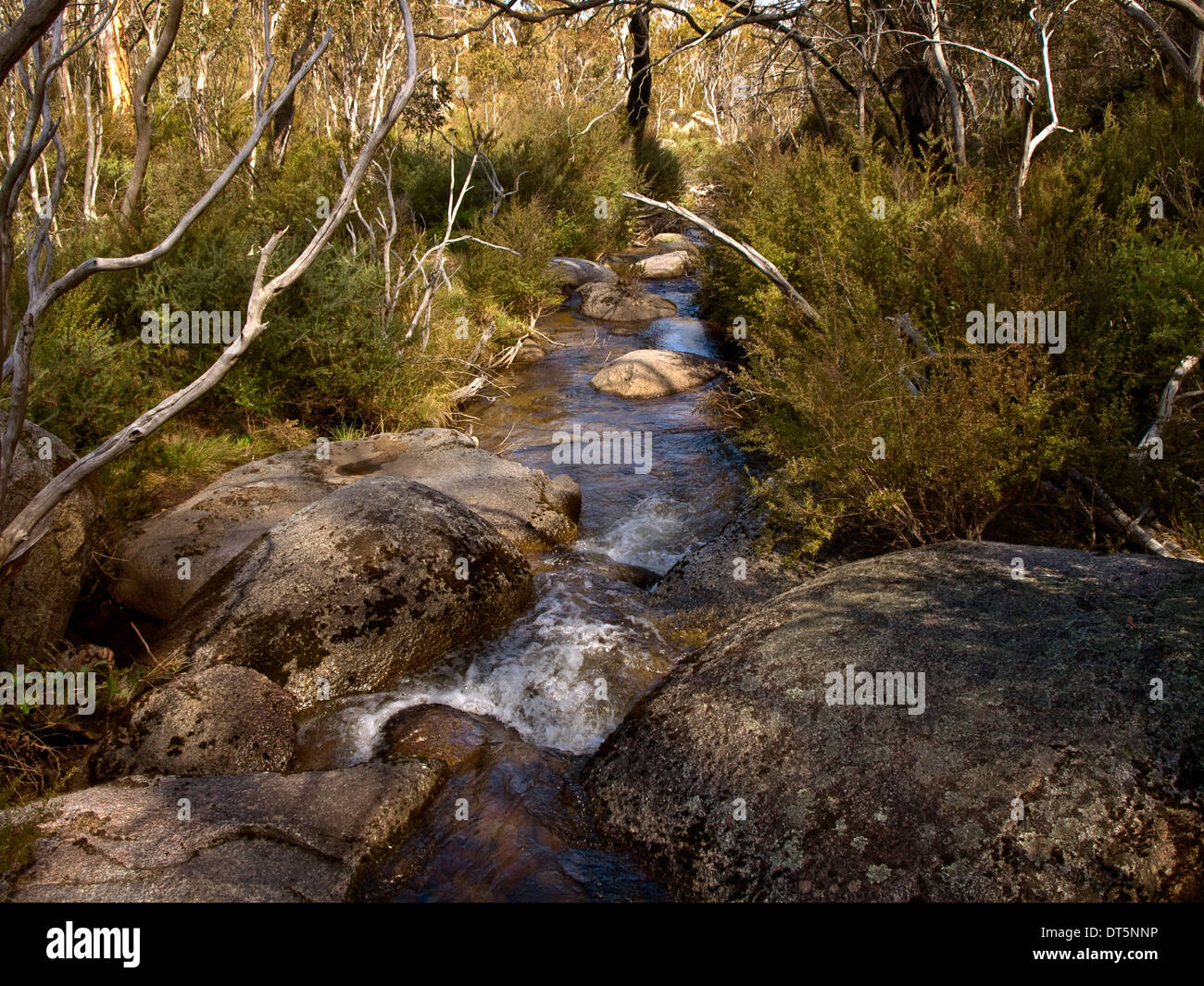 Australian alpine creek hi-res stock photography and images - Alamy