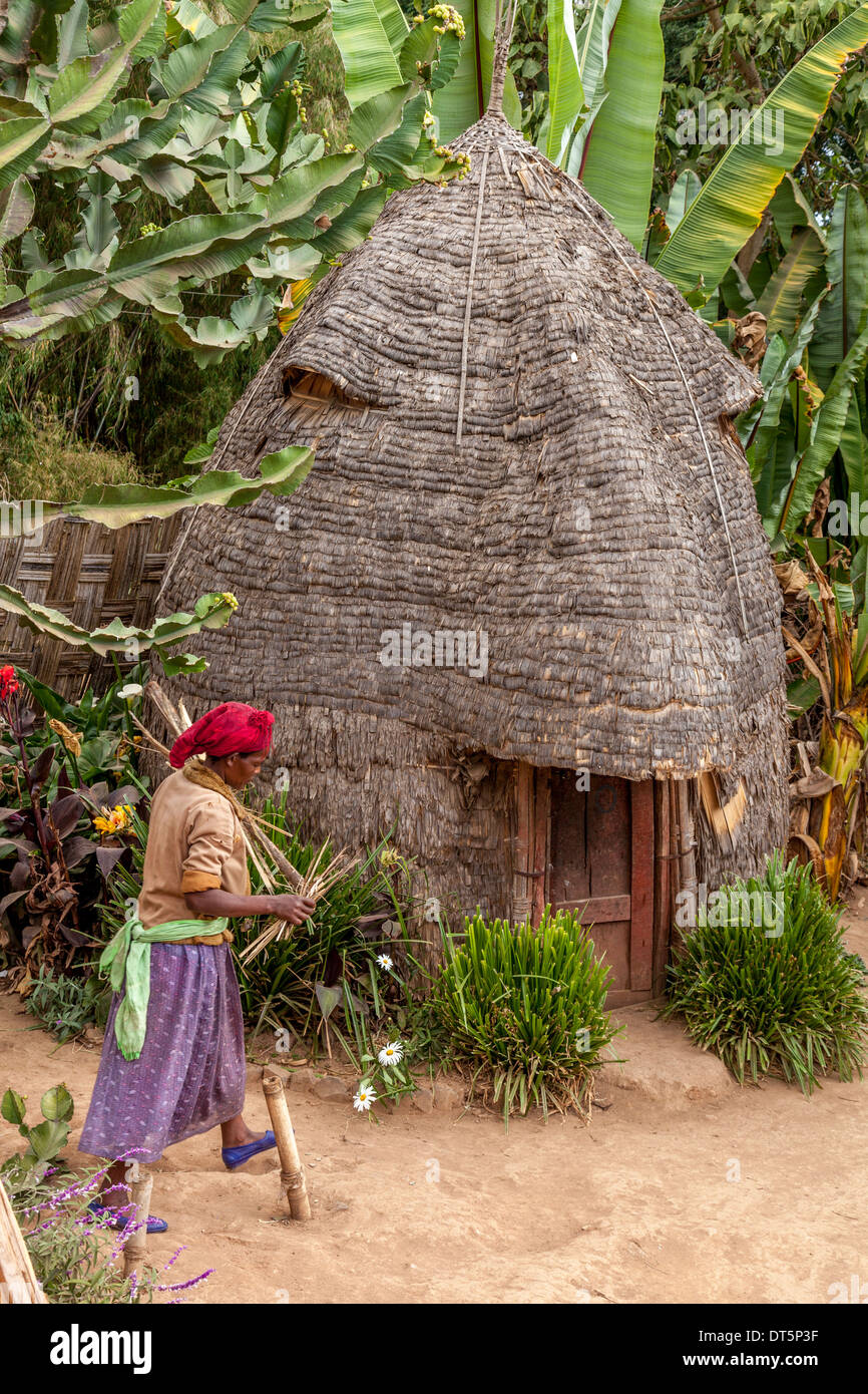 Traditional Dorze House, Hayzo Village, Arba Minch, Ethiopia Stock ...