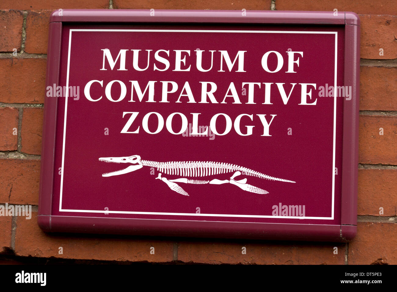 Sign for Museum of Comparative Zoology at Harvard University, Boston ...