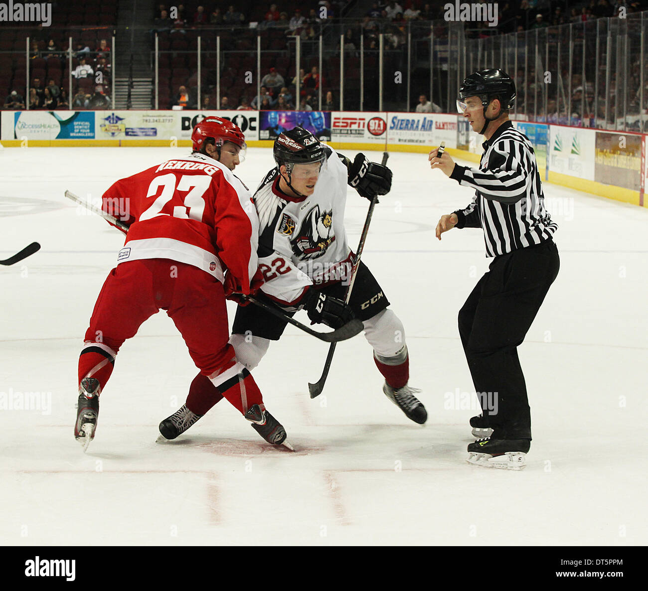 Echl hockey hi-res stock photography and images - Alamy