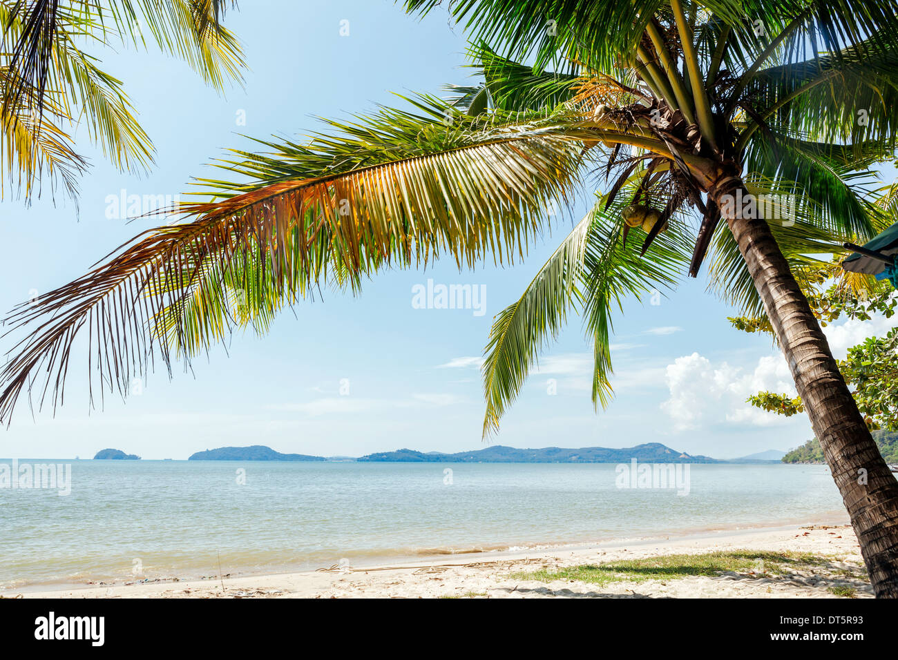 Perfect beach in Thailand with white sand, palm trees and blue sky ...