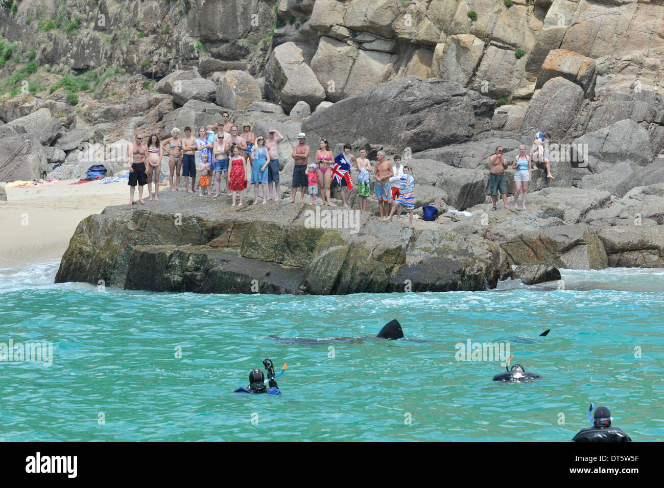 Basking Shark Uk High Resolution Stock Photography and Images - Alamy