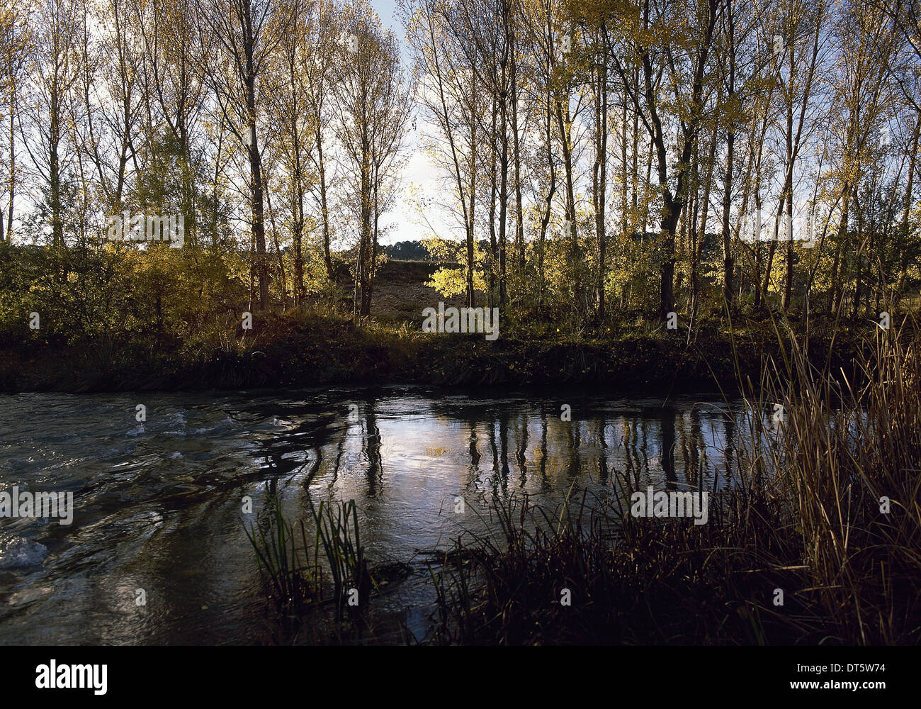Spain. Landscape with the Jucar river. Jucar Ravine. Castile-la Mancha ...