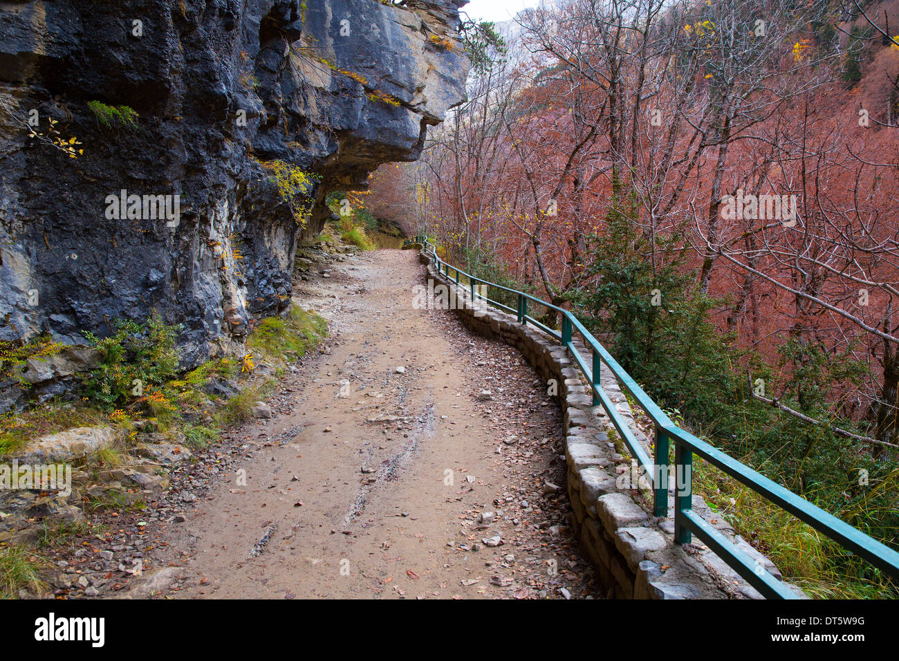 Autumn fall forest in Pyrenees Valle de Ordesa Huesca Spain Stock Photo ...