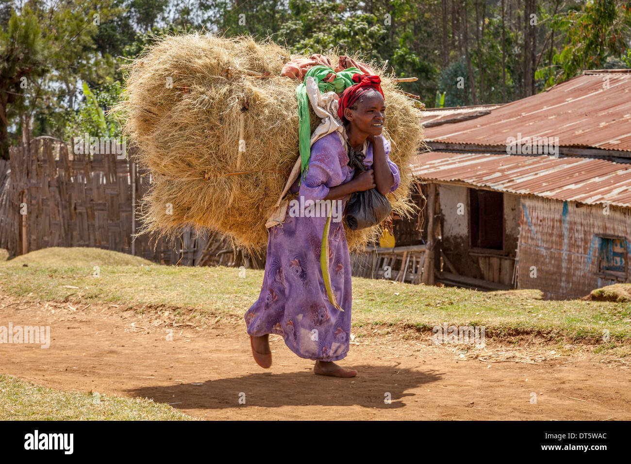 African women carrying hay hi-res stock photography and images - Alamy