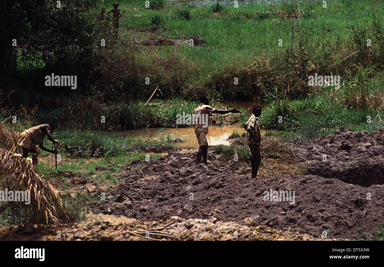 Sifting dirt High Resolution Stock Photography and Images - Alamy