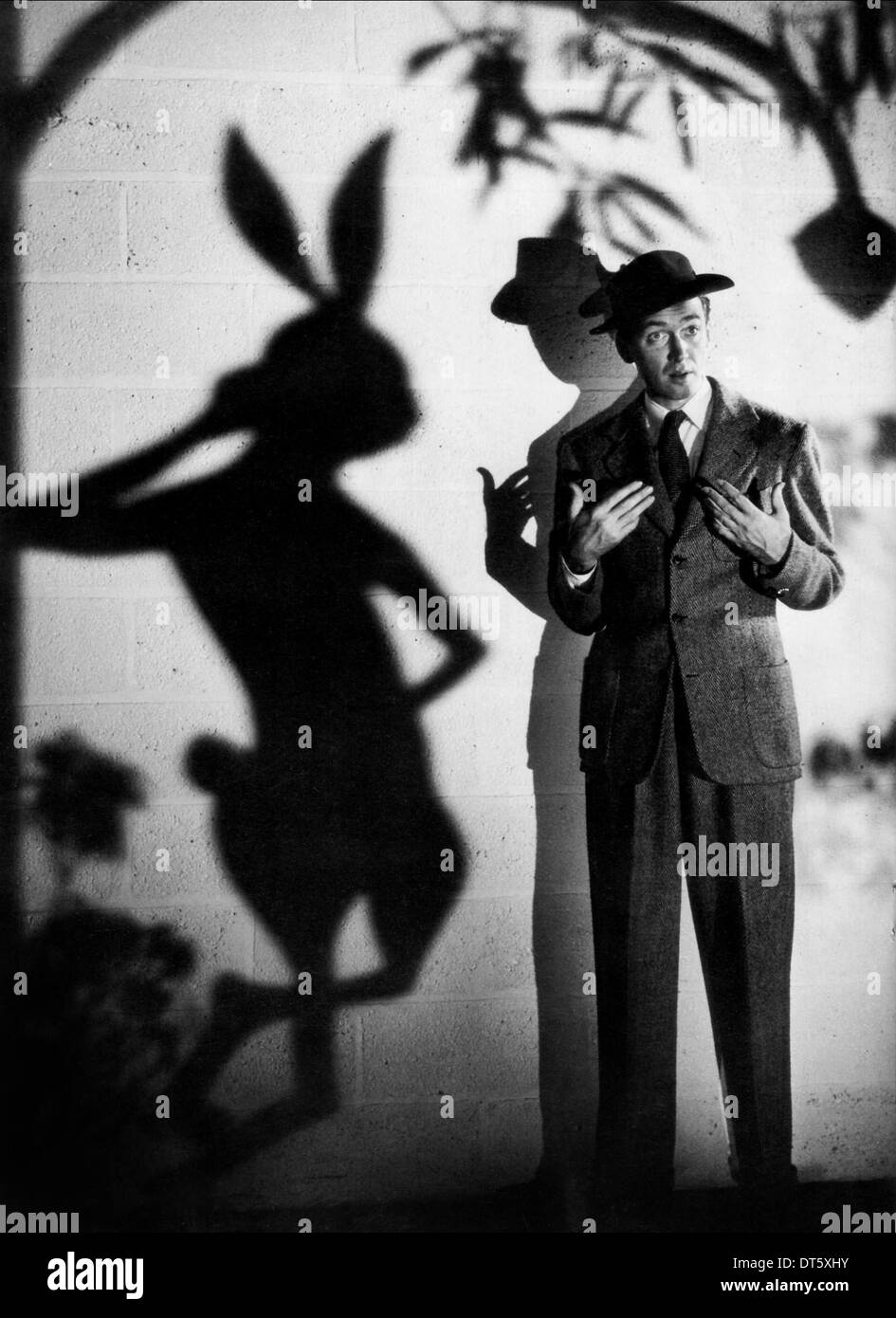 Harvey the rabbit hi-res stock photography and images - Alamy