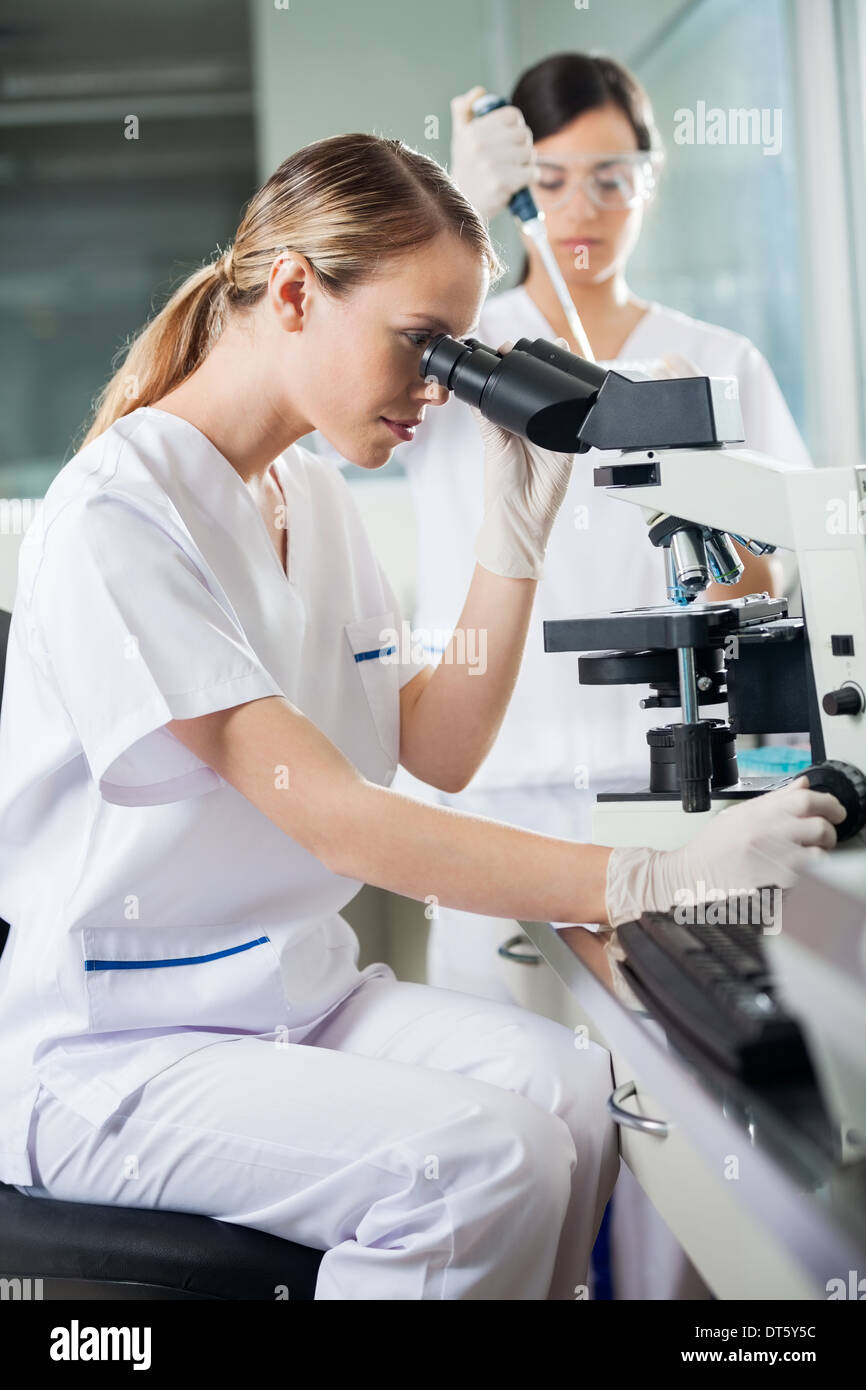 Scientist Looking Into Microscope In Lab Stock Photo - Alamy
