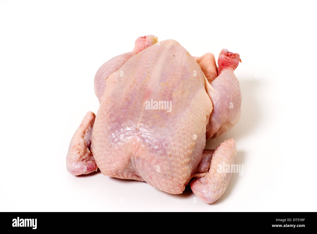 Raw Whole Chicken With Head