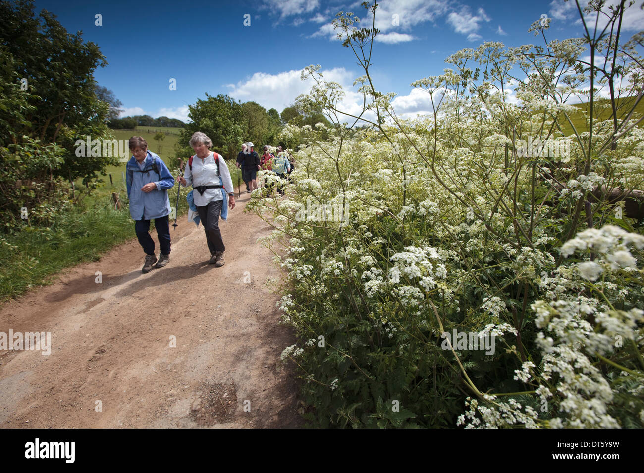 Cotswolds way path hi-res stock photography and images - Alamy