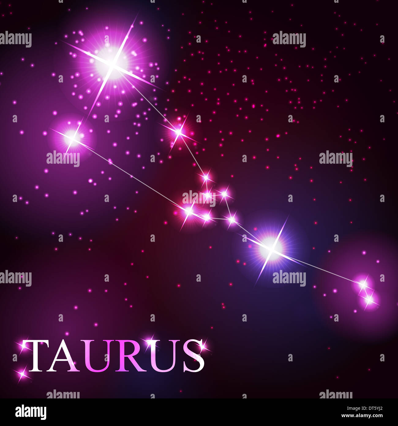vector of the taurus zodiac sign of the beautiful bright stars on the ...