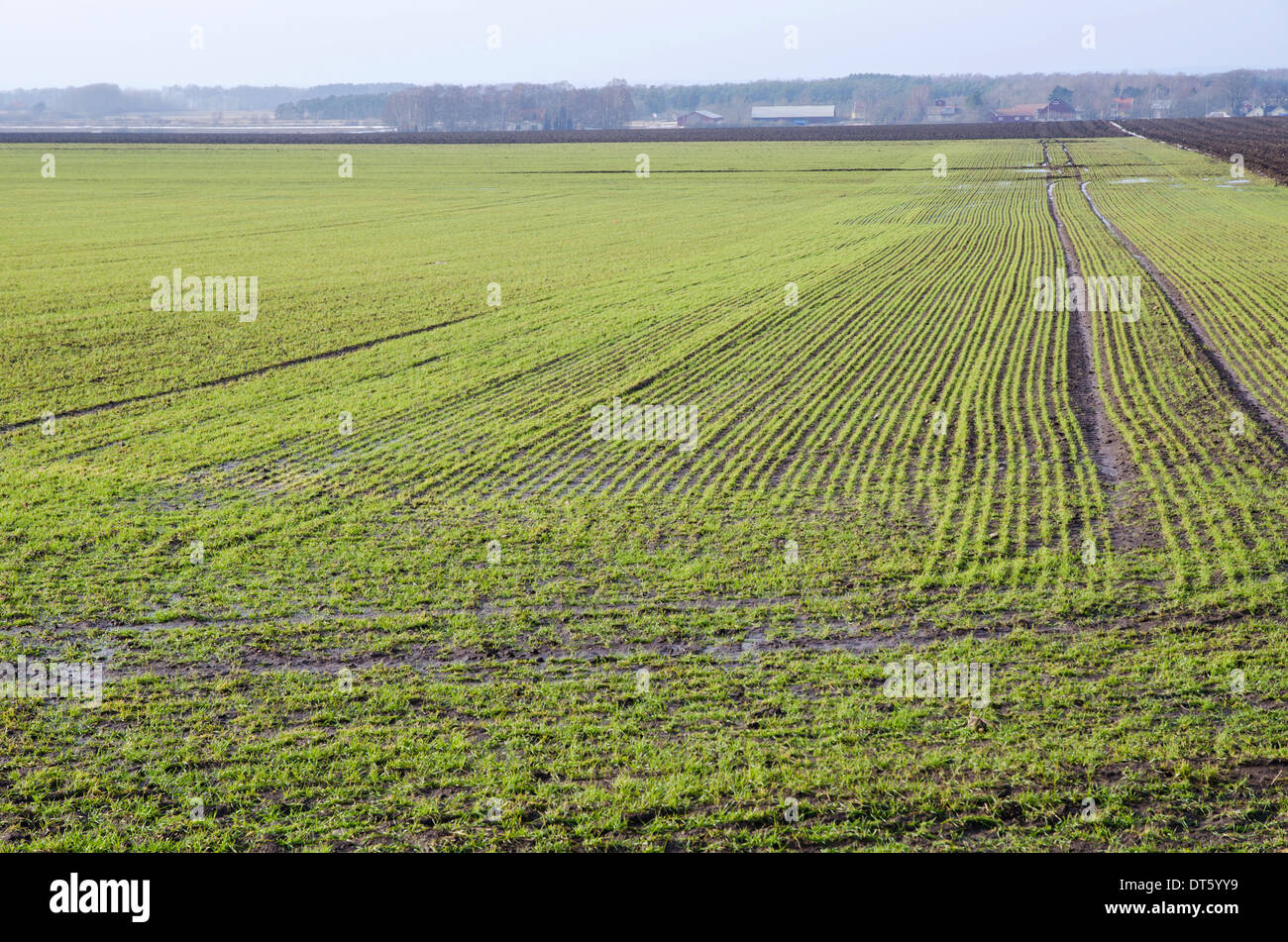 Springtime field hi-res stock photography and images - Alamy
