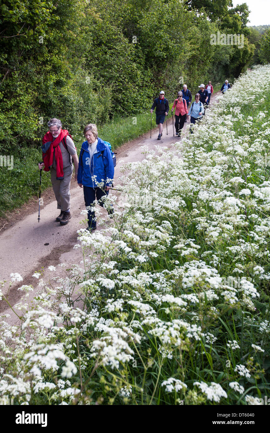 Walkers on the Winchcombe Way, Cotswolds, UK Stock Photo - Alamy