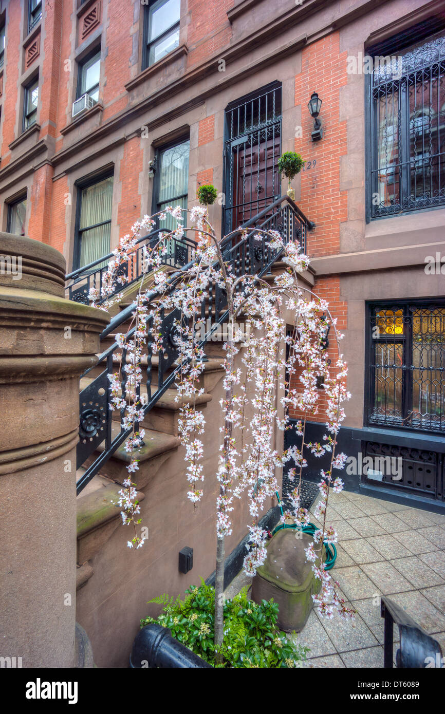 Sandstone building material hi-res stock photography and images - Alamy