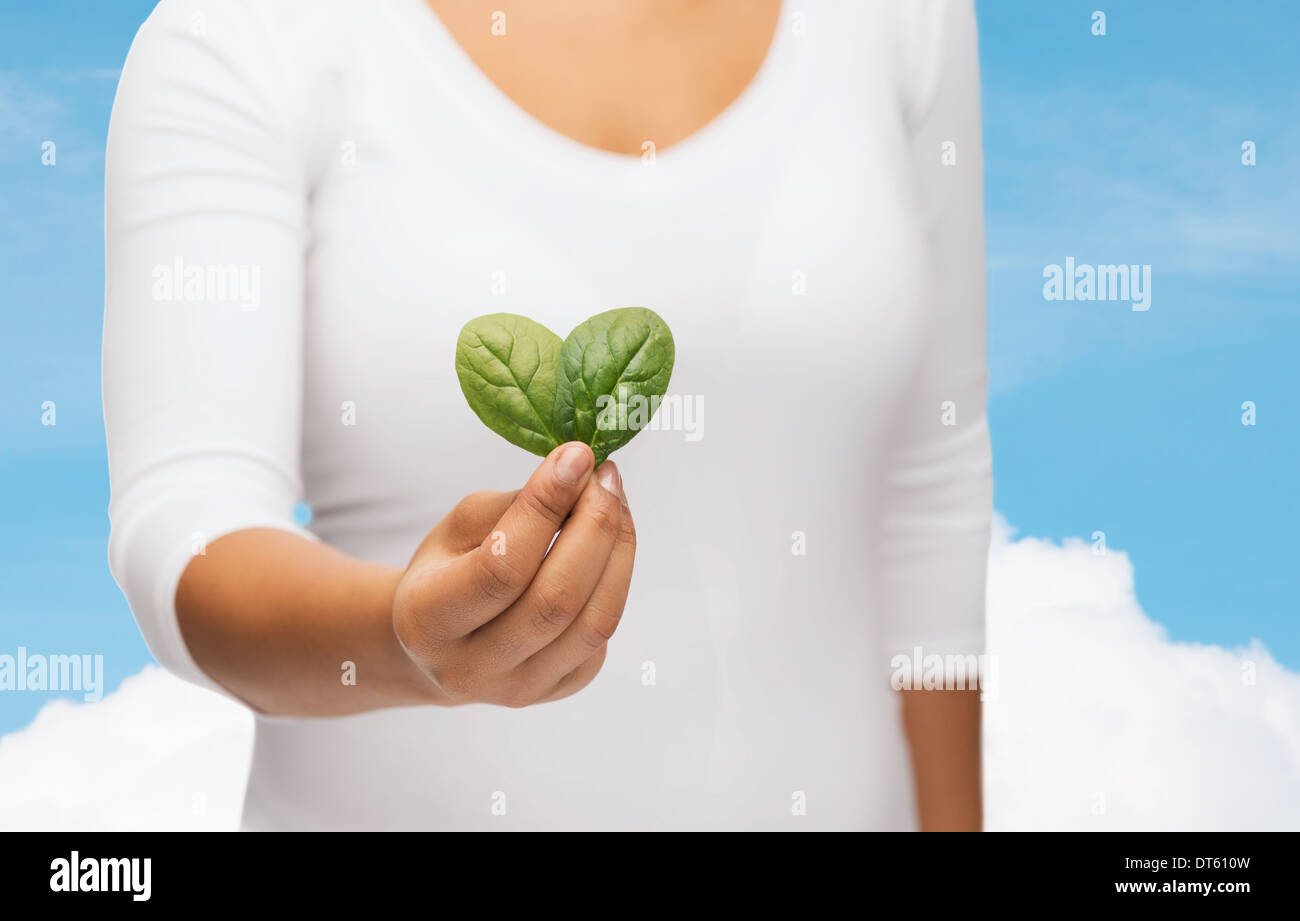 closeup woman hand with green sprout Stock Photo - Alamy closeup woman hand with green sprout Stock Photo - Alamy