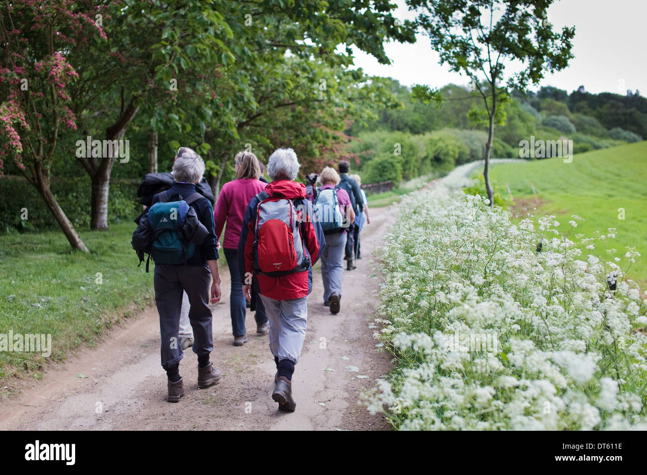 Walkers on the Winchcombe Way, Cotswolds, UK Stock Photo - Alamy