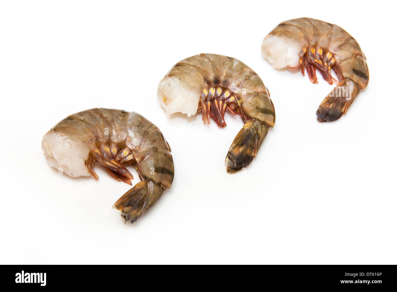 Large tiger prawn or Asian tiger shrimp- Penaeus monodon. Isolated on a ...