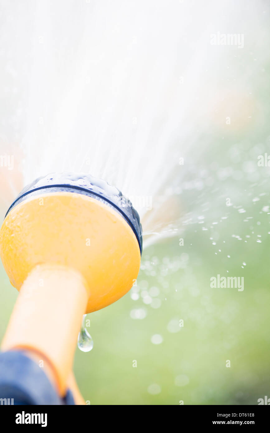 Watering garden plants with yellow sprinkler Stock Photo - Alamy