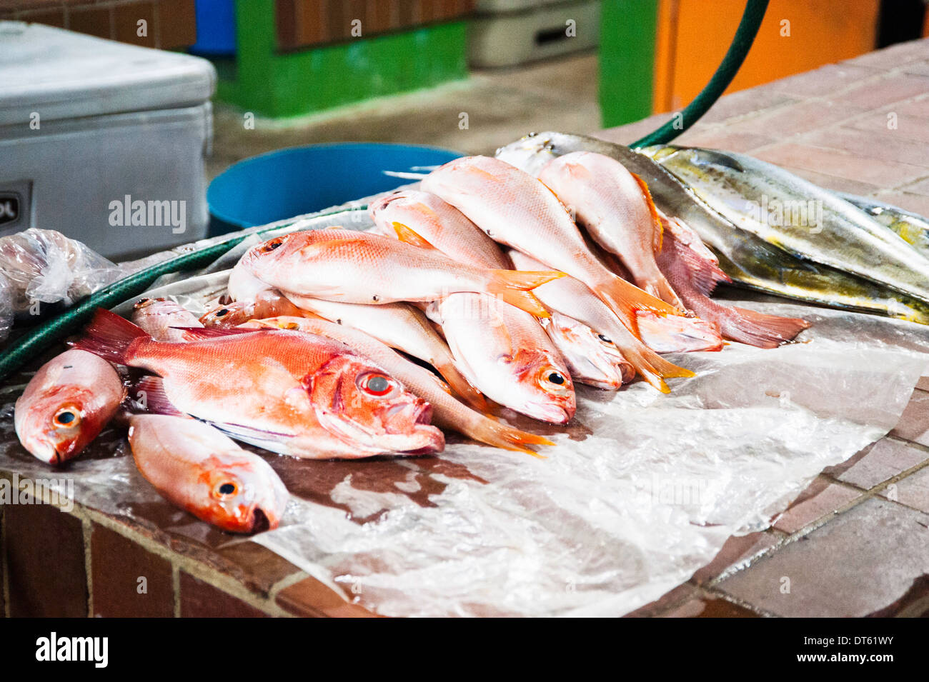 Barbados food hi-res stock photography and images - Alamy