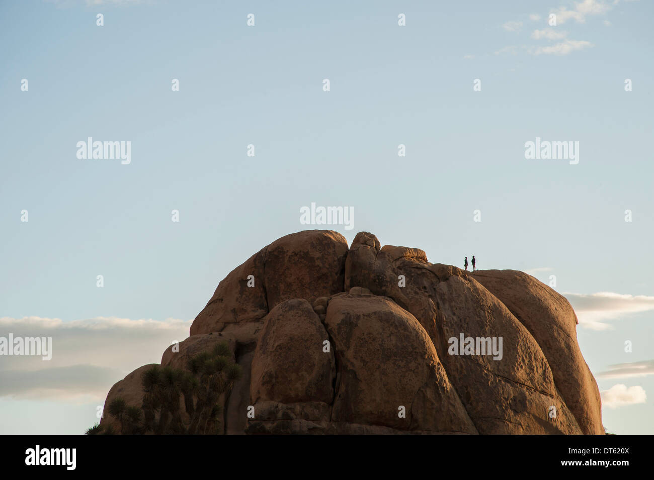 Giant rock joshua tree hi-res stock photography and images - Alamy