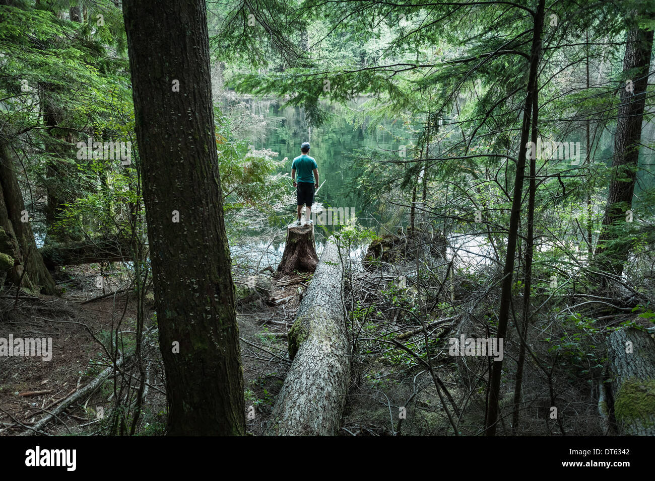 Man standing forest hi-res stock photography and images - Alamy