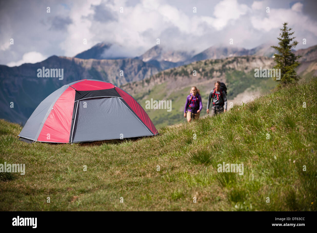 Camping near Paradise Divide in the West Elk Mountains, Crested Butte ...