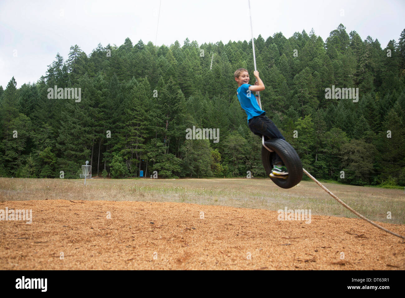 Boy on tire swing Stock Photo - Alamy