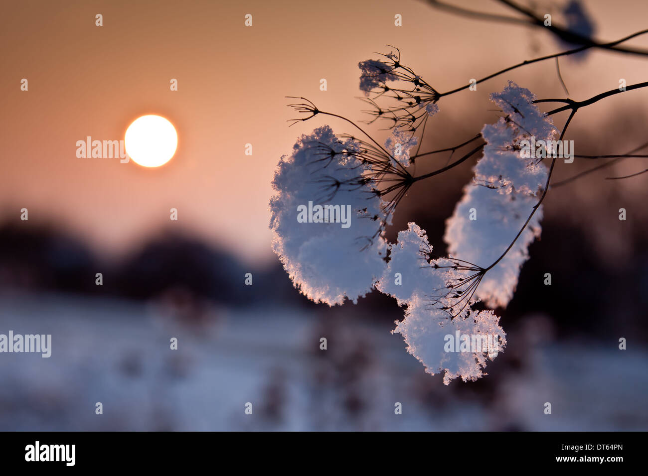 Wonderful sunset in the freezing cold and snow Stock Photo - Alamy