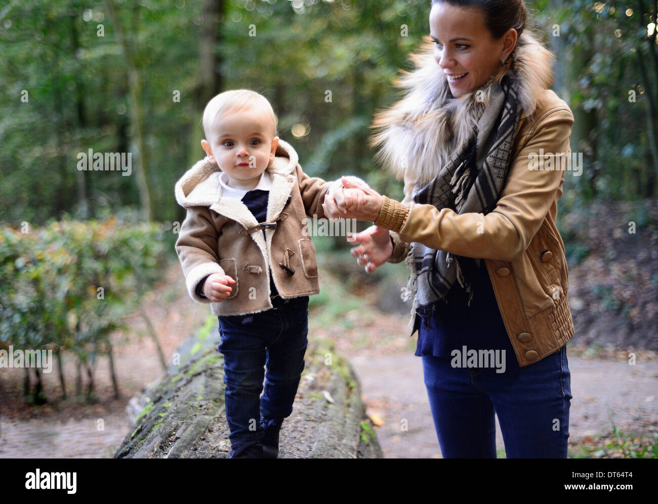Tree trunk on the front hi-res stock photography and images - Alamy
