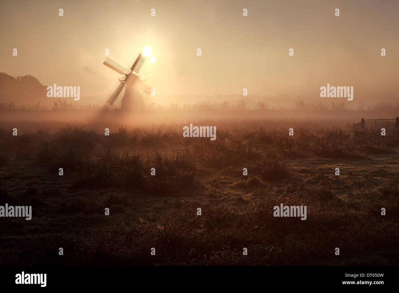Sunshine and shade in the early morning sun hi-res stock photography ...