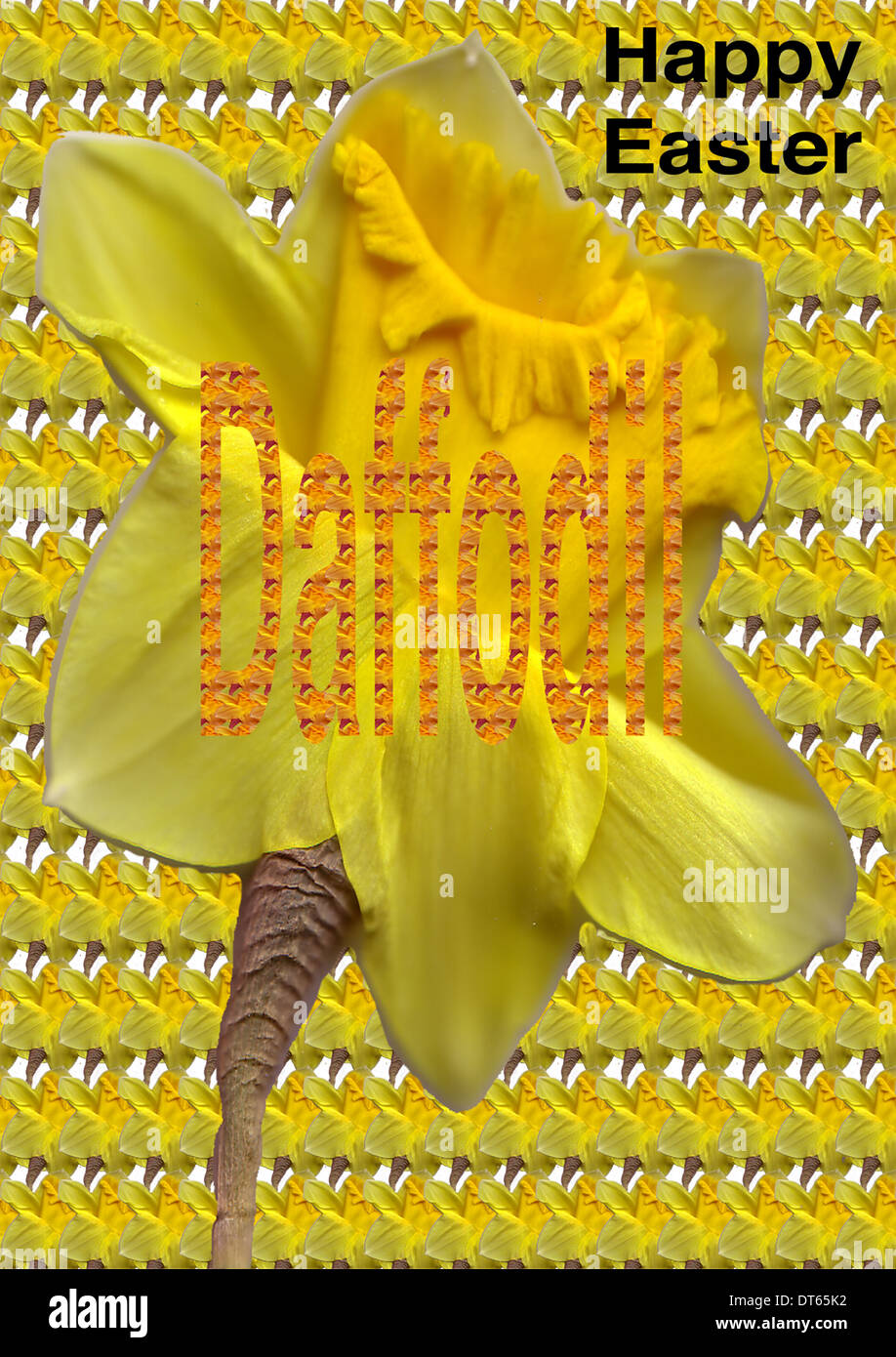 Beverley king leeds west yorkshire hi-res stock photography and images ...